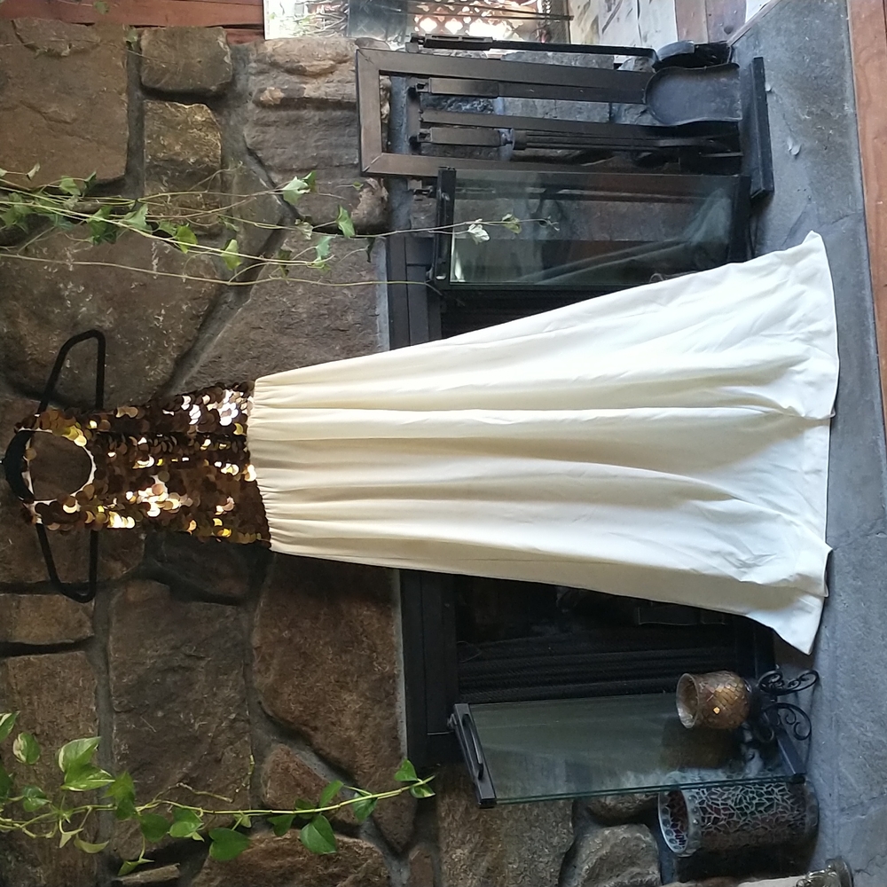 Antique Fish Scale Sequin Top Gown 11/12 - Gem